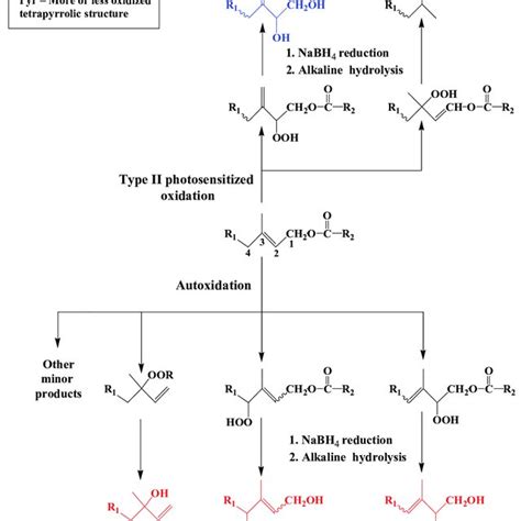 Accurate Masses Of The Main Fragment Ions Produced During Ei Download Scientific Diagram