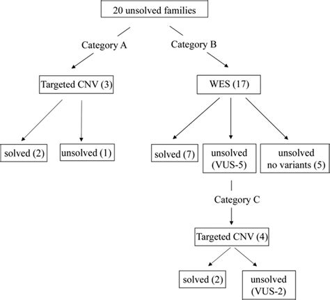 Molecular Genetic Analysis Algorithm Study Design And Diagnostic Yield