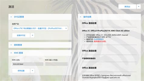 激活失败是啥原因[ask] · Issue 505 · Yerongai Office Tool · Github