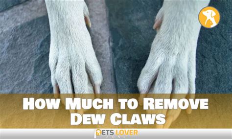 How Much Does It Cost To Remove Dew Claws Expert Insights