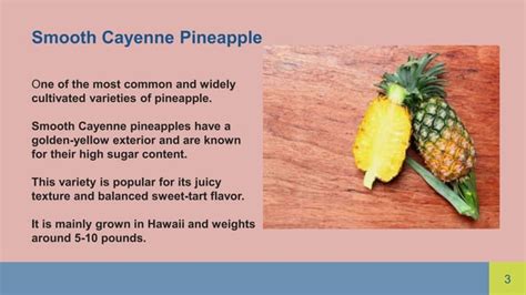 Varietal Classification Of Pineapple Ppt