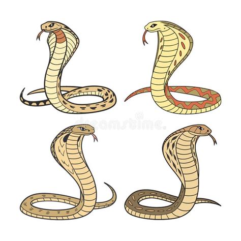 Realistic Cape Cobra Wildlife Artwork Stock Vector Illustration Of
