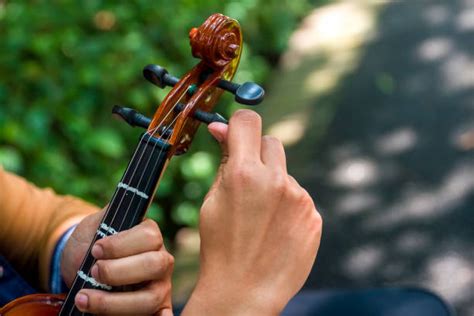 How Many Strings Does A Violin Have Musical Facts