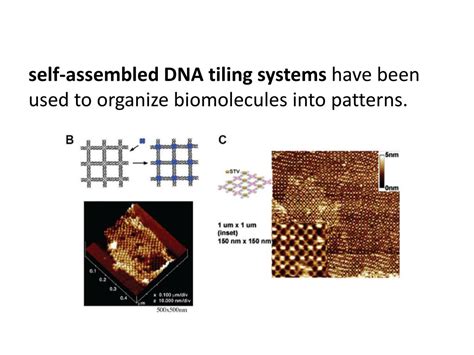 Ppt Dna Nanotechnology Geometric Sorting Boards Powerpoint