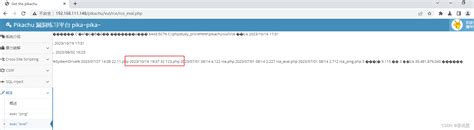 Rce远程命令执行————pikachu靶场命令执行pikachu Csdn博客