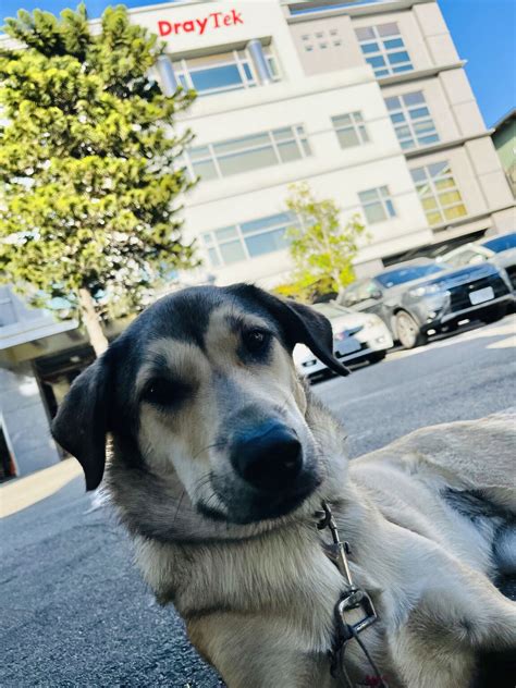 Draytek Corp On Linkedin Firewall Vpn Router Draytek