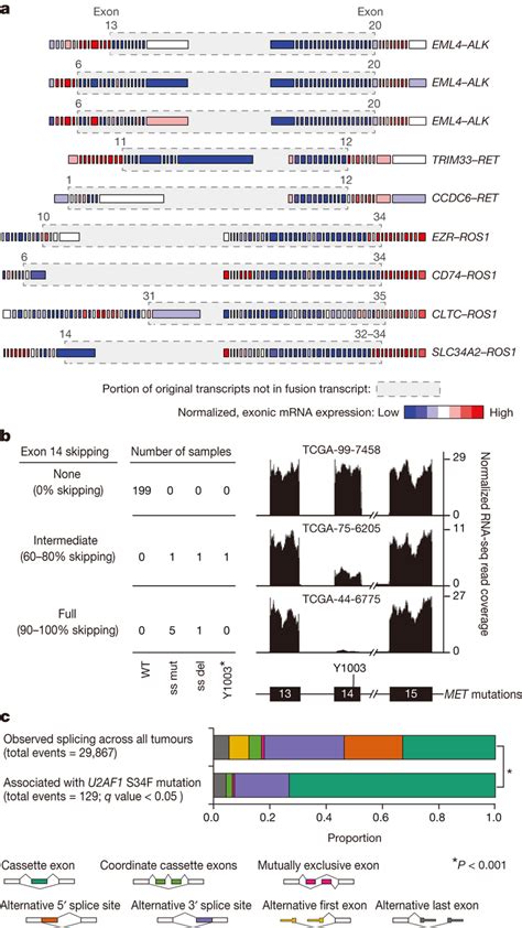 Aberrant Rna Transcripts In Lung Adenocarcinoma Associated With Somatic