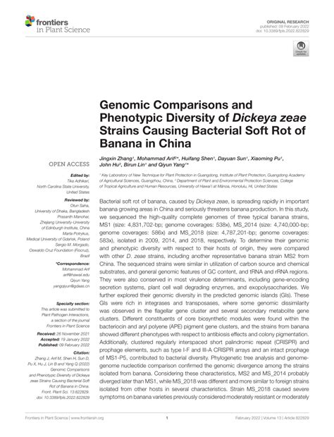 Pdf Genomic Comparisons And Phenotypic Diversity Of Dickeya Zeae