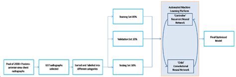 flowchart summarizing the data categorization and model development