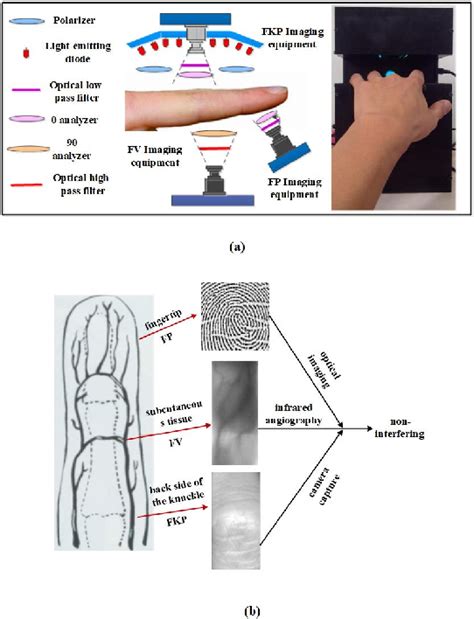 Figure 6 From Finger Multimodal Features Fusion And Recognition Based On Cnn Semantic Scholar