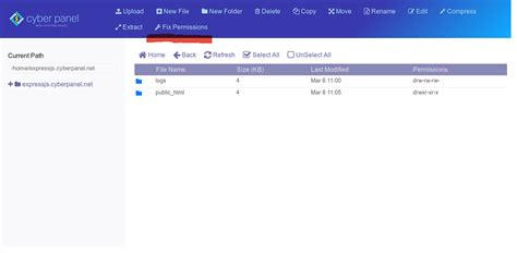 Setup Expressjs Application On Cyberpanelopenlitespeed Blog Posts Cyberpanel Community