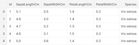 Perceptron — Cycon 01 Documentation