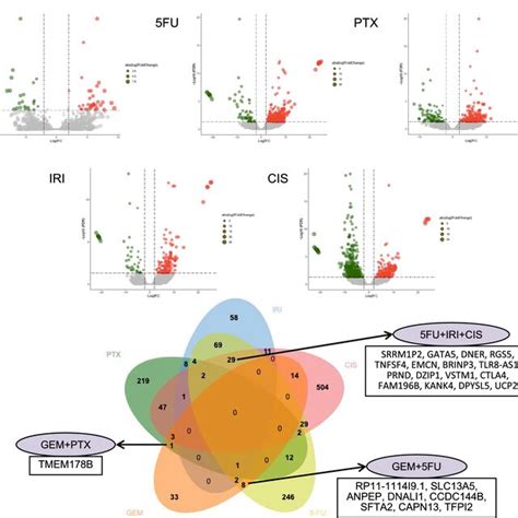 Differentially Expressed Genes Degs Between Drug Sensitive And
