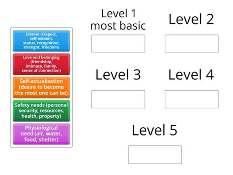 organize needs according to their complexity basic to most complex