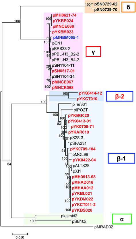 Phylogenetic Trees Of Proma Plasmids Phylogenetic Trees Of Proma