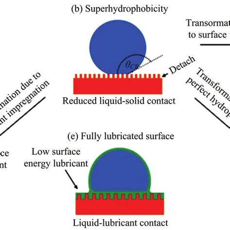 Meniscus Interactions And Droplet On Lubricant Cheerios Effect Concept Download Scientific