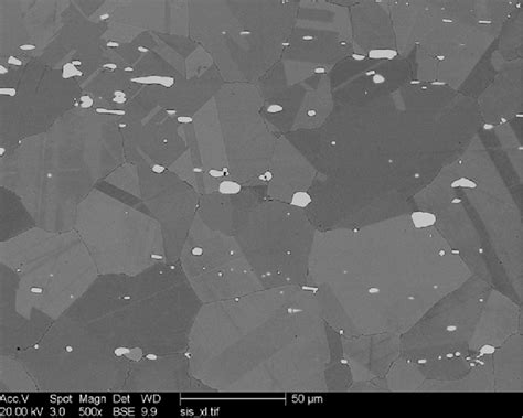 Three Dimensional Montage Of Optical Microstructure In Alloy 230