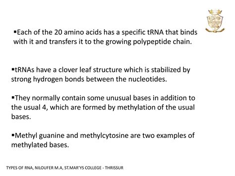 Types Of Rna Pptx