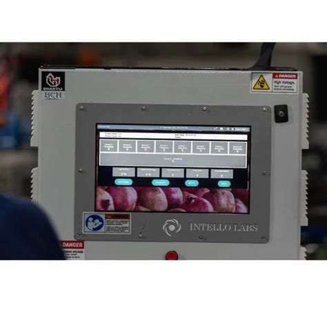 automatic single lane pomegranate sorting grading machine 3000 kg hr