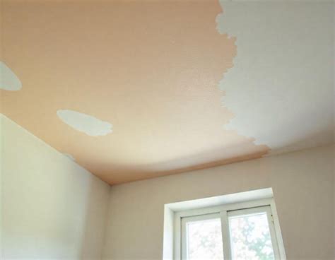Can You Use Ceiling Paint As A Primer Best Practices