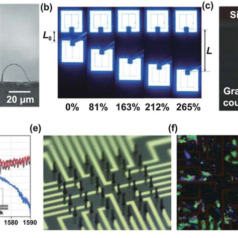 Meniscus Guided 3d Printing Of Polymer Composite For Electrical And Download Scientific Diagram