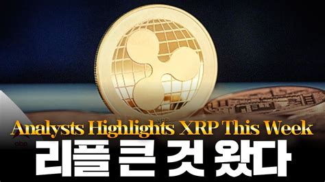 리플 큰 것 온다 Youtube