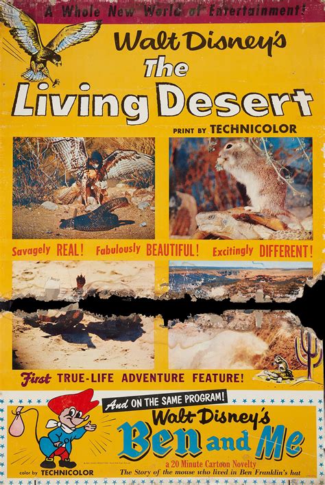 The Living Desert Logo
