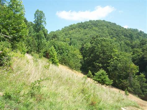 11 Acres In Hancock County Tennessee