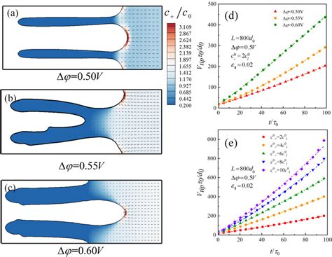 Dendritic Morphologies With Cation Concentration Distribution And