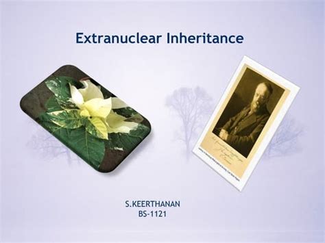 Extra Chromosomal Inheritance Pptx Infertility Reproductive Health