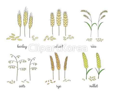 일러스트 클립아트코리아 통로이미지주