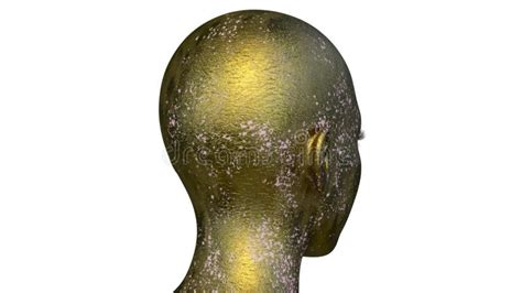 D Rendering Of A Woman S Face Close Up Stock Video Video Of Expression Front