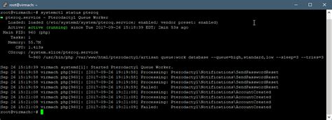 Unable To Send Emails Issue Pterodactyl Panel Github