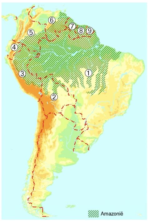 Situering Van Het Amazonewoud Situering Webquest Ontbossing Amazonewoud