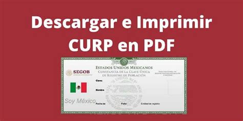 Cómo Descargar Curp Gratis En Pdf Guía Paso A Paso 2026