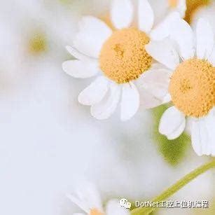 C 数据集之 DataSet 对象 知乎