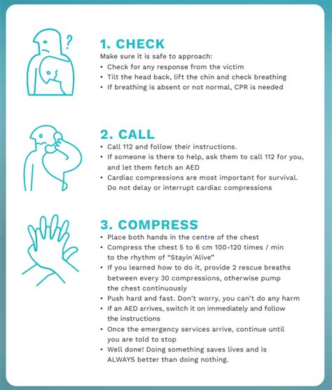 Cardiopulmonary Resuscitation Steps Flyer
