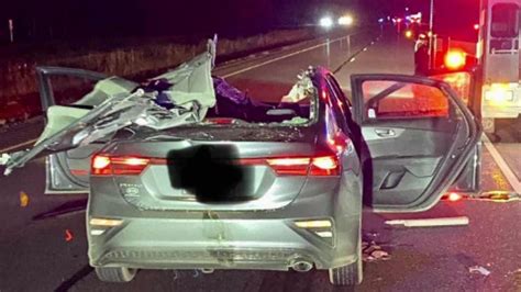 Middle Sister Was Hit By A Moose Today General Discussion Ar15 Com