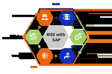 A Leading Rise With SAP Solution Provider GoWide Solutions