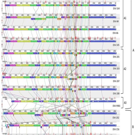 Whole Genome Alignment Of Sequenced Coccolithovirus Genomes The Download Scientific Diagram