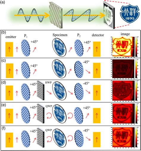 Experimental Demonstration Of Thz Polarization Imaging By Using The Download Scientific Diagram