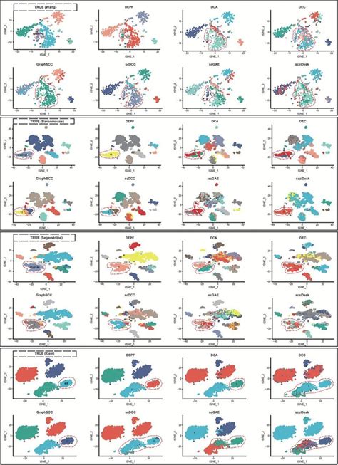 Advanced Science 利用动态集成剪枝来识别和解释单细胞分子异质性和转录调控 知乎