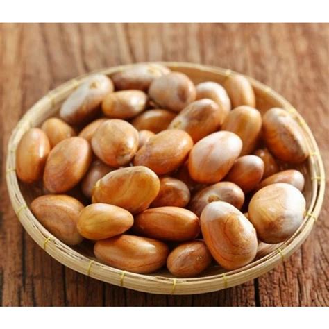 Jual Biji Buah Nangka Shopee Indonesia