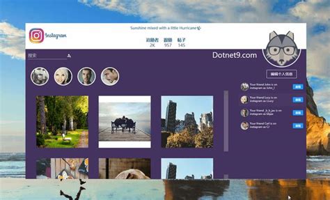 Net Core C Wpf 重新设计instagram 知乎
