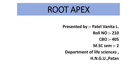 Root Apex Pptx
