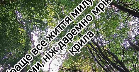 1 квітня Міжнародний день птахів Інтерактивні матеріали Екологія