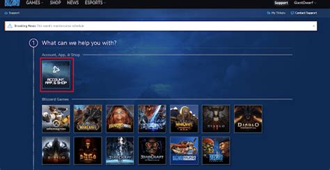 How To Delete Your Battle Net Account