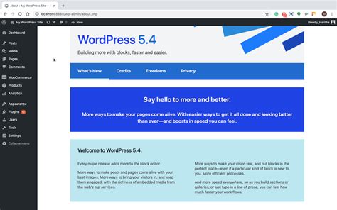 How To Update WordPress Safe And Quick Method
