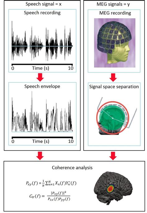 Summary Of The Computed Coherence Analysis Upper Left The Amplitude Download Scientific