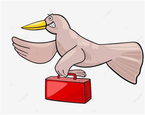 Bird Migration Cartoon